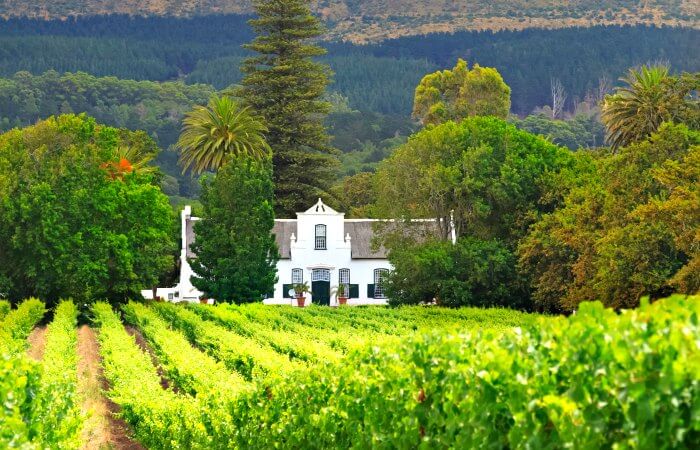 700x450 Cape Dutch farm and vineyards South Africa - Stubborn Mule Travel